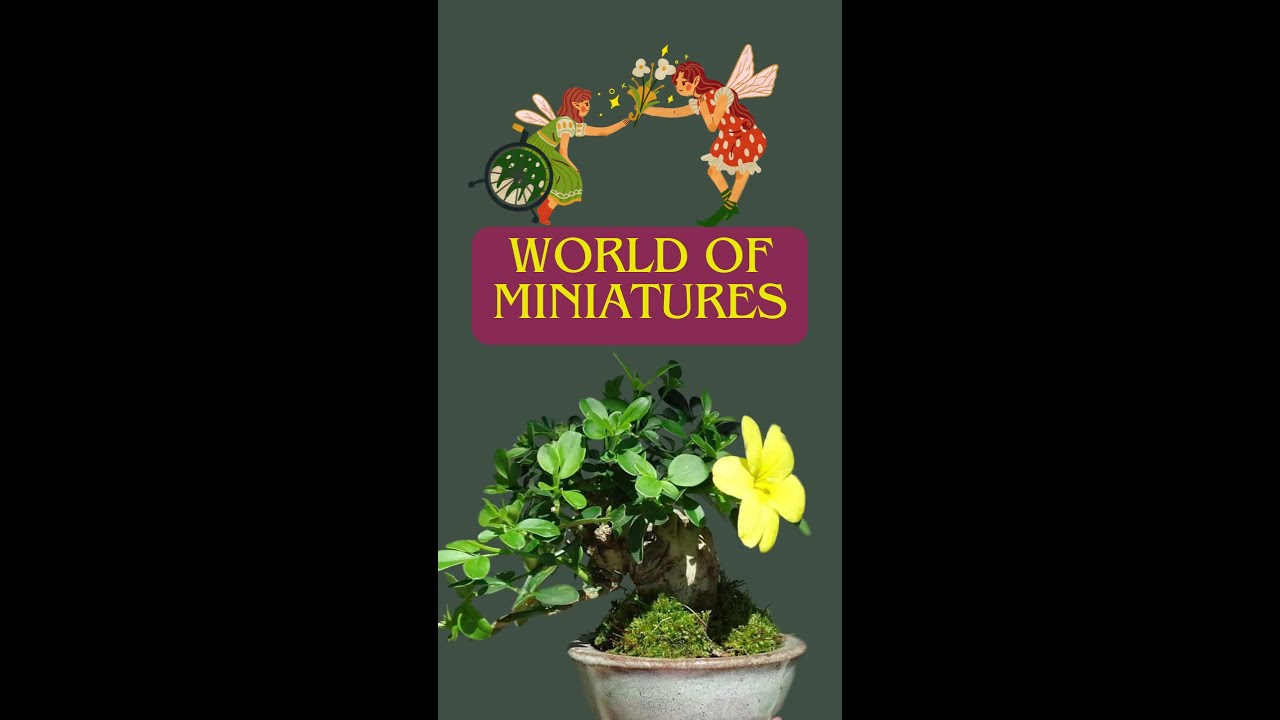 World of Miniatures - YouTube