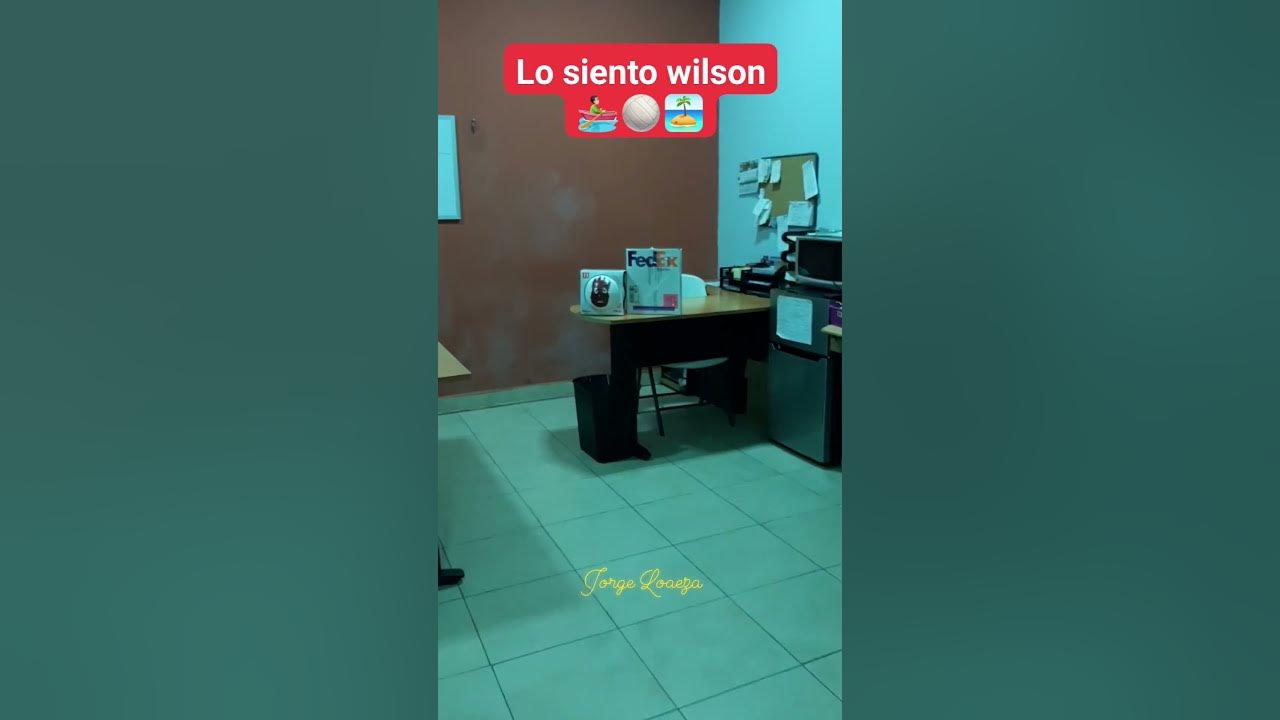 Lo siento wilson - YouTube