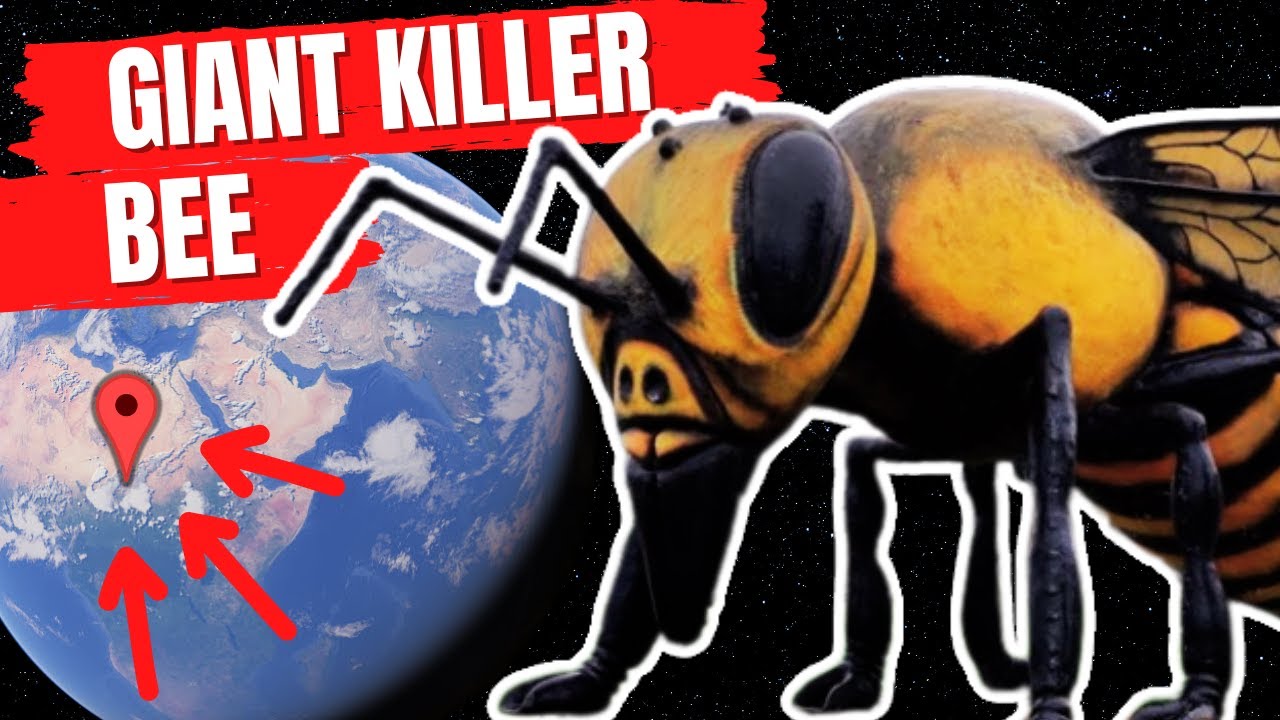 Giant Killer Bee 🐝 found on Google Earth and Google Maps 🌎 - YouTube