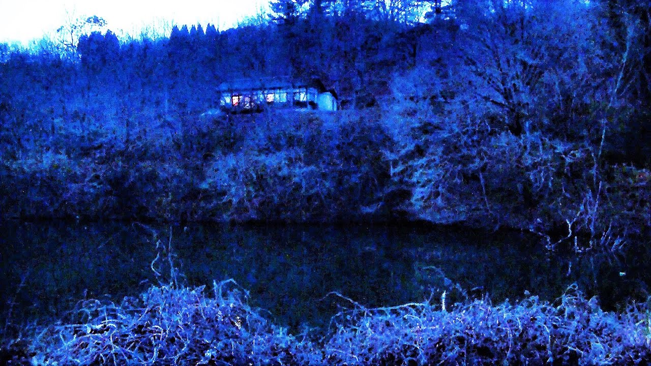 Dark Night Lake Ambience, Unknown Scary Creepy Sounds, Ducks Quacking ...