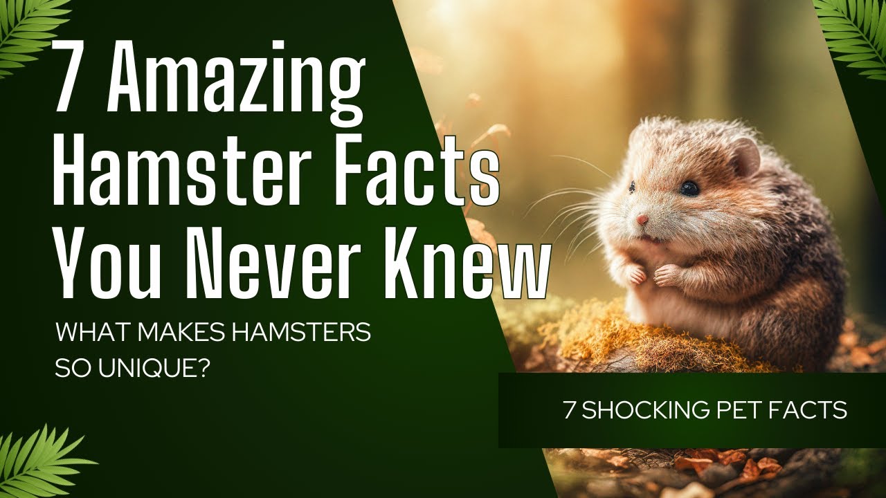 7 Amazing Hamster Facts You Never Knew! | Mind-Blowing Pet Secrets ...