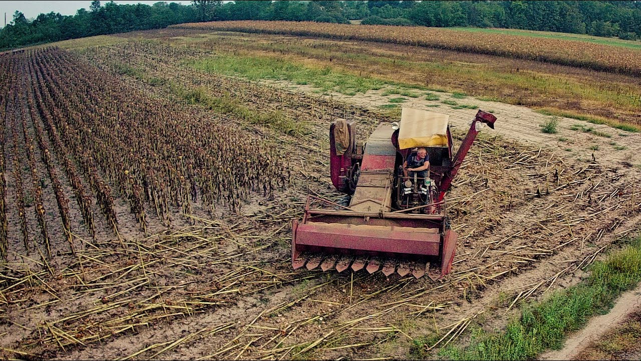 MAJSTOR DŽEZ Kalenić (Ub) Modifikovan kombajn ZMAJ 780 - YouTube