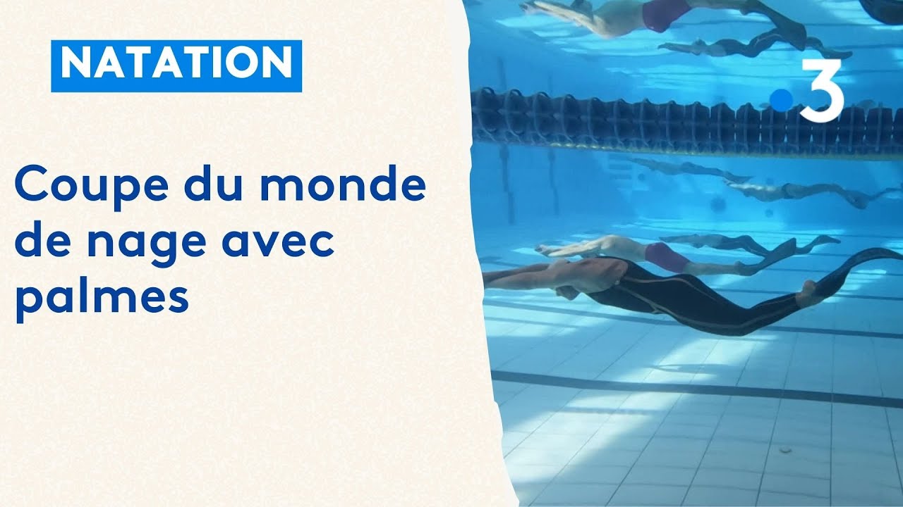 Natation : coupe du monde de nage avec palmes à Aix-en-Provence - YouTube