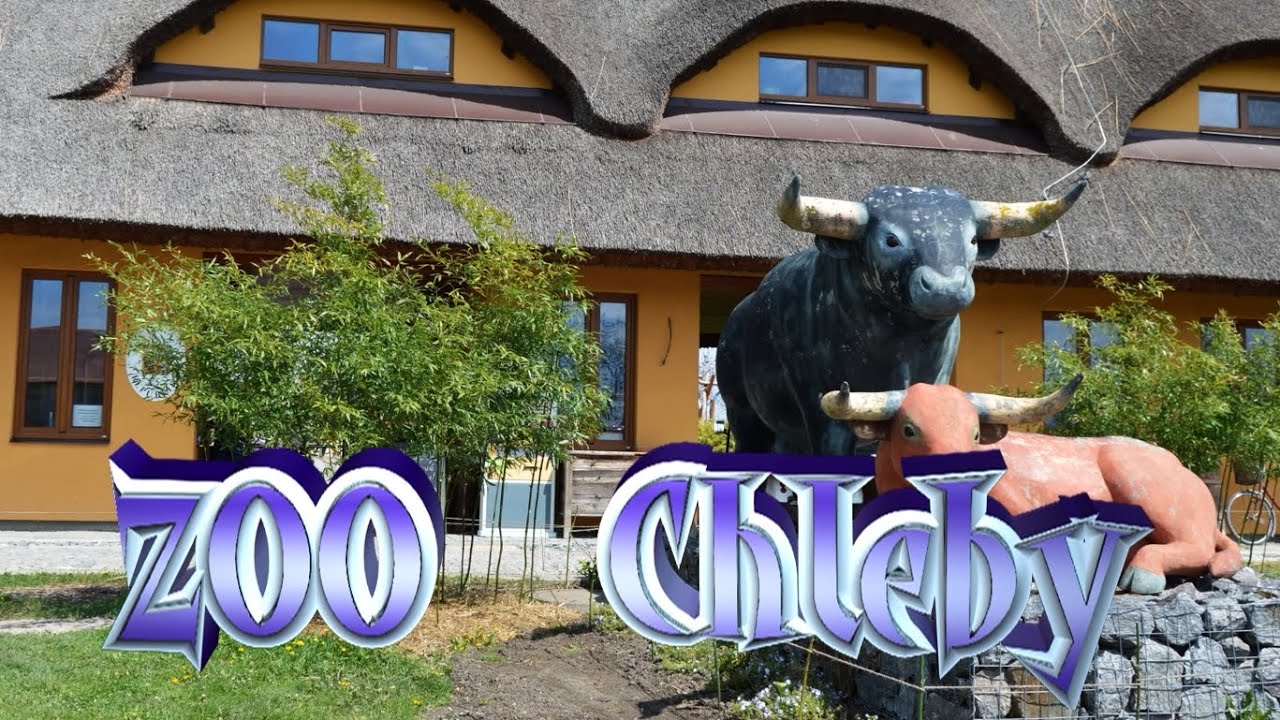 ZOO Chleby - YouTube