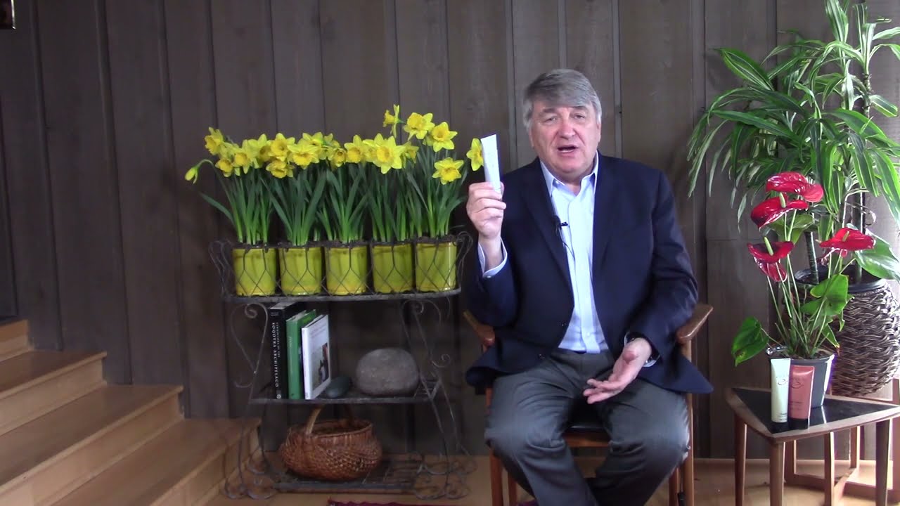 Epoch Firewalker, Ice Dancer & Sole Solution Wholesale Price - YouTube