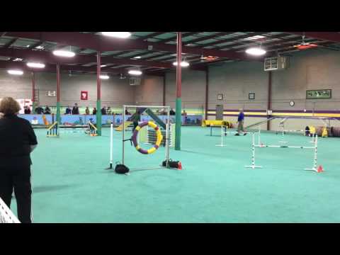 2017 Mar 19 CarDunAl Masters Std Treue