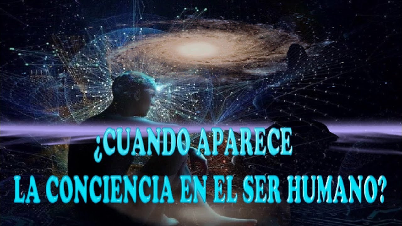 ¿Cuando aparece la conciencia en el ser humano? - YouTube