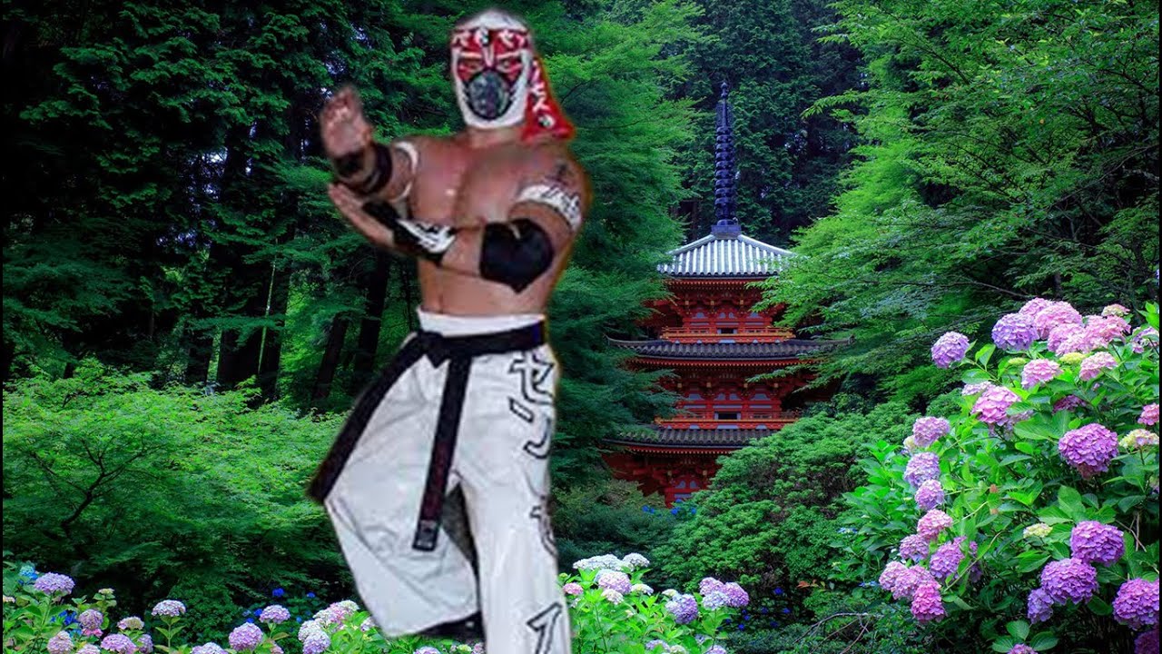 Sensei Tribute - YouTube