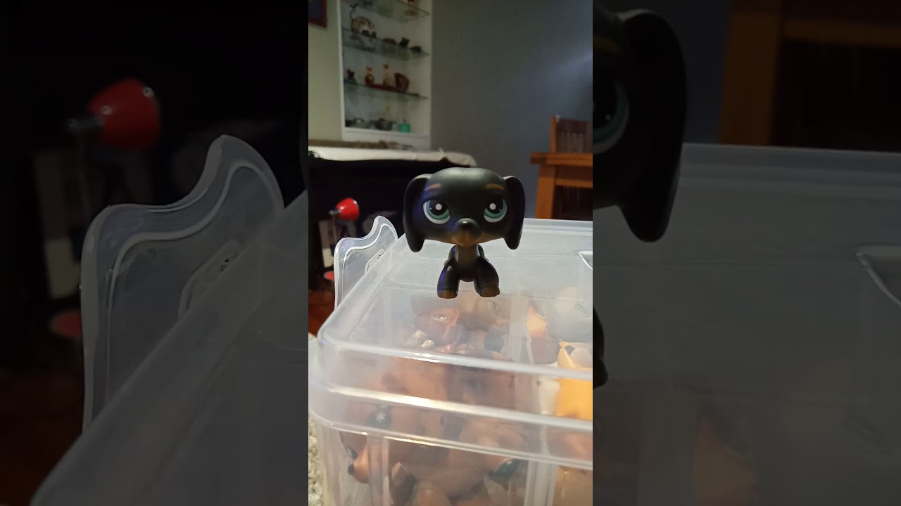 My 325 LPS Dachshund! - YouTube