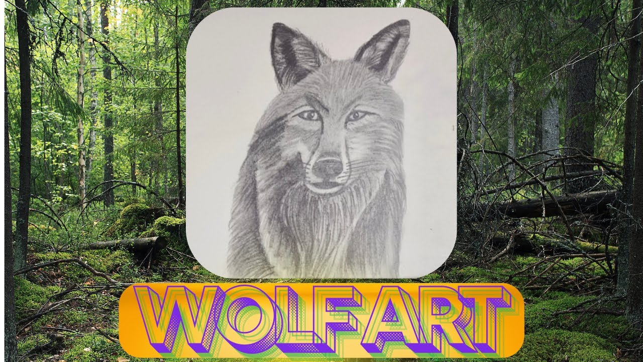 Realistic Wolf Pencil Sketching Tutorial | How to Draw a Realistic Wolf ...