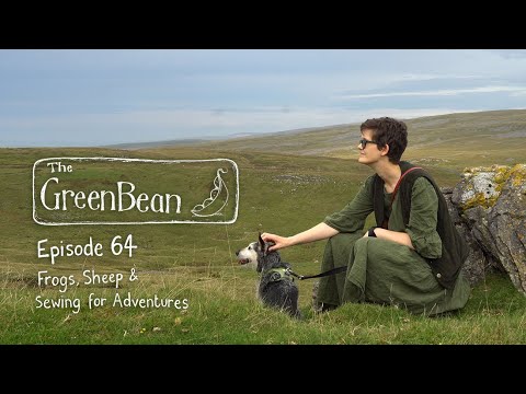 The Green Bean Podcast Episode 64: Frogs, Sheep & Sewing - YouTube
