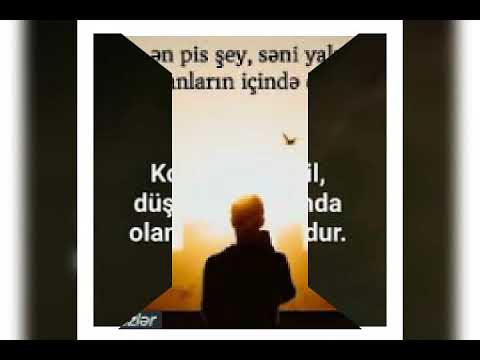 Mənalı  sözlər
