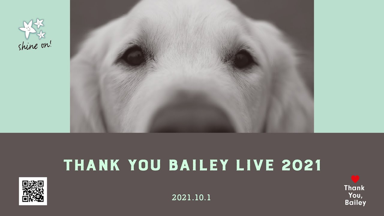 THANK YOU BAILEY LIVE 2021 ありがとうベイリーライブ2021 - YouTube