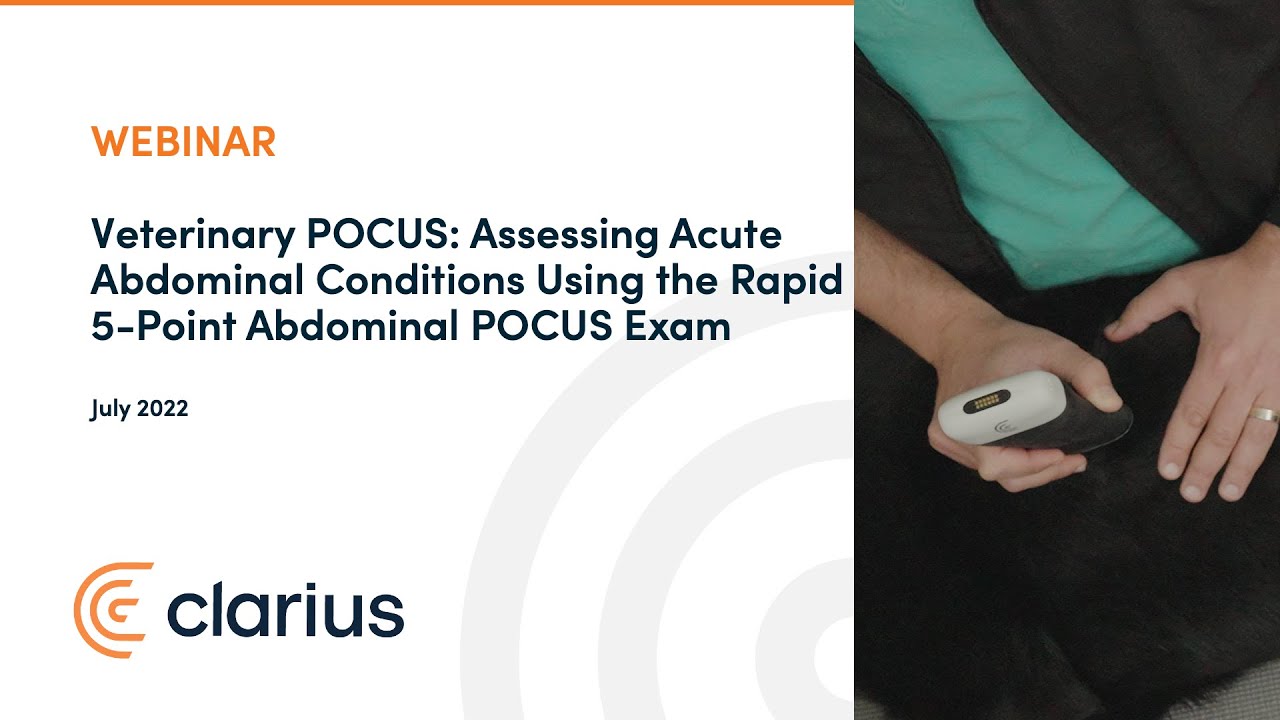 Veterinary POCUS: Assessing Acute Abdominal Conditions Using the Rapid ...