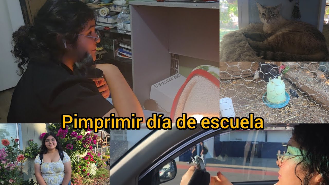 El primer día de escuela de mi hija. Y cómo siguen los 🐤 - YouTube