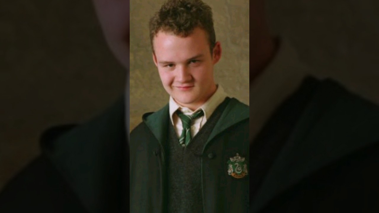 6 Harry Potter actors Joshua Colin Mintone Herdman Gregory Goyle now 36 ...