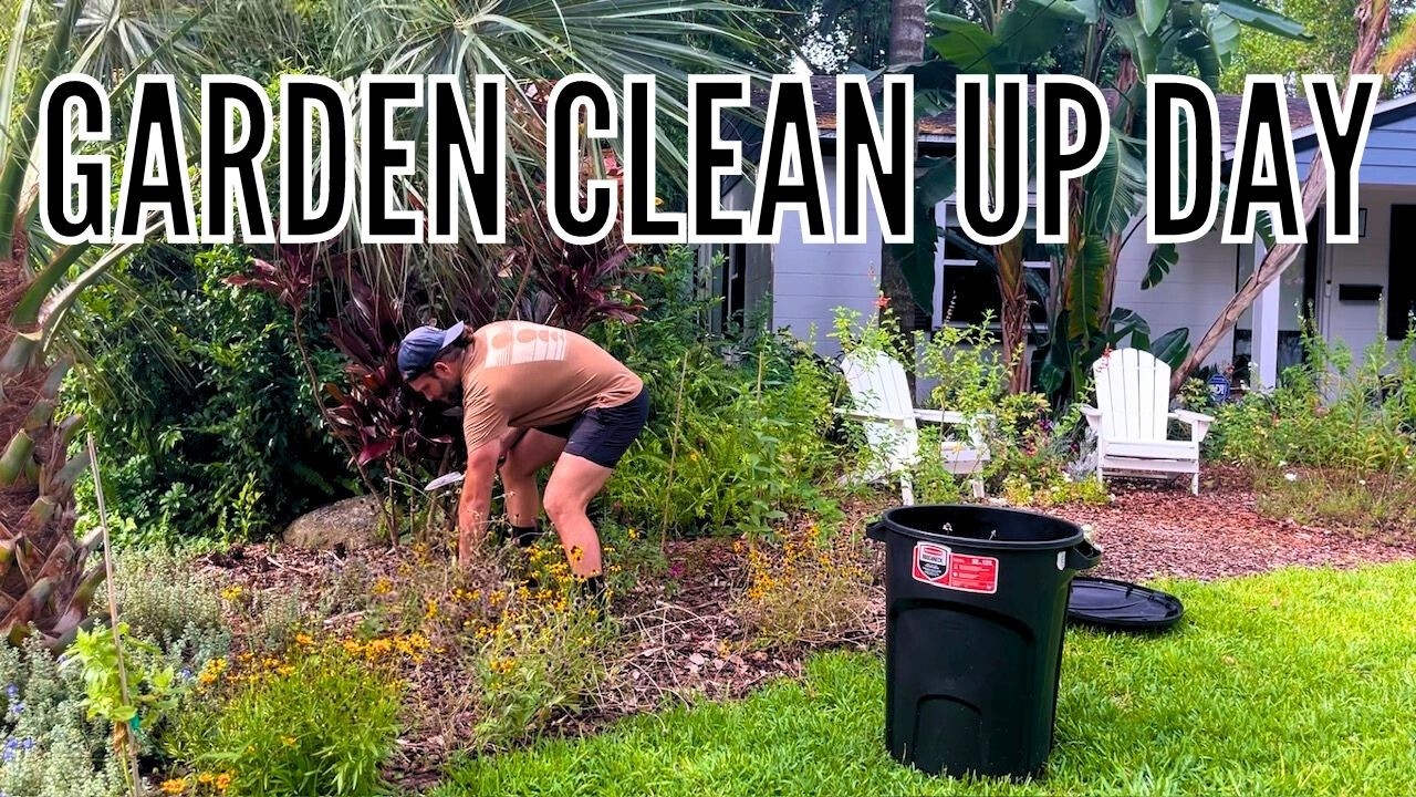A Day in the Garden | Flower Bed Clean Up | How to Get Rid of Tree ...