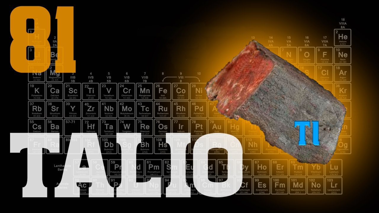 ⏱️ TALIO | En 1 minuto - YouTube