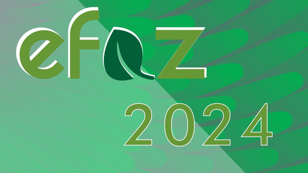 Abertura do ano letivo EFAZ 2024 - YouTube