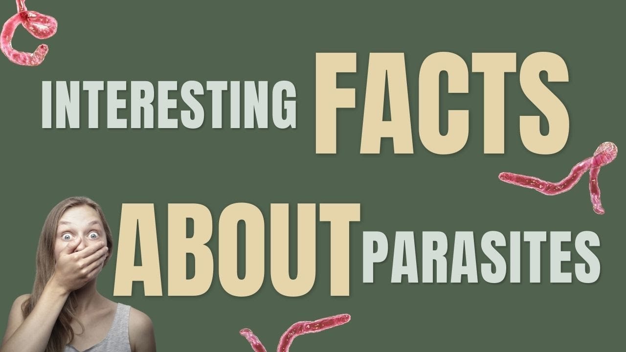 Interesting Facts About Parasites - YouTube