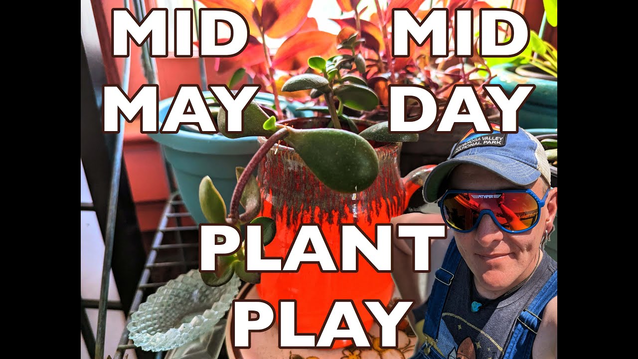 MIDMAY-MIDDAY-PLANT-PLAY - YouTube
