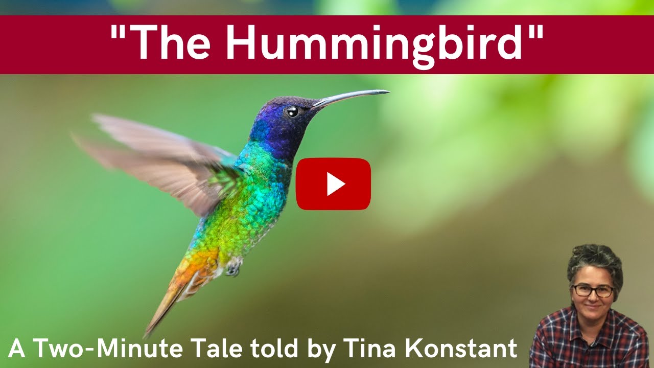 Story: The Hummingbird, an African Fable told by Tina Konstant - YouTube