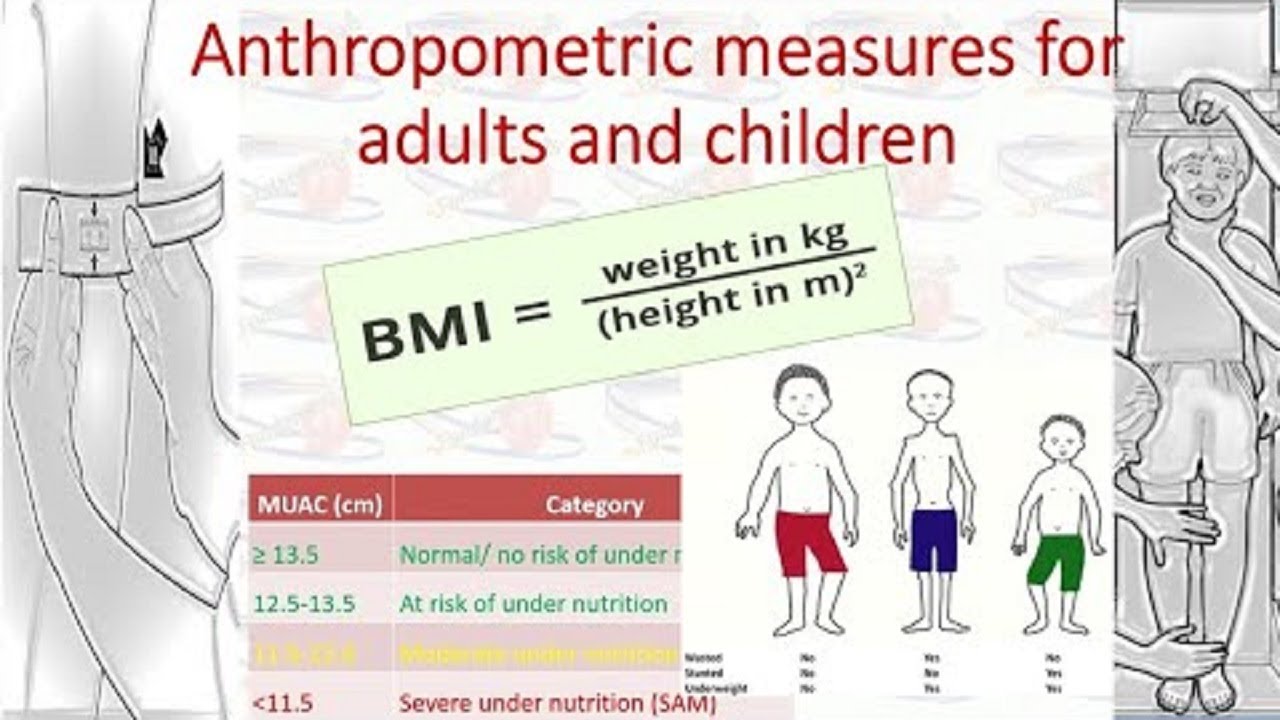 Nutritional Anthropometry Cancer and nutritional epidemiology | Faculty ...