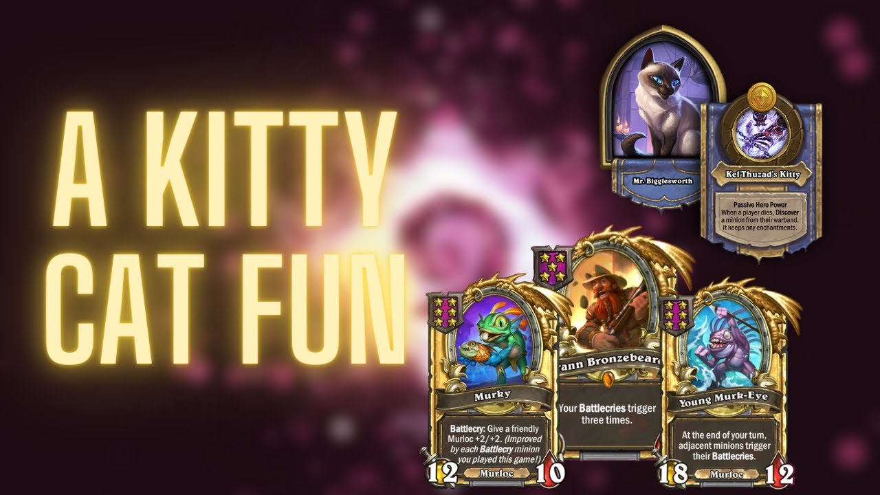 A kitty cat fun | HEARTHSTONE BATTLEGROUNDS - YouTube