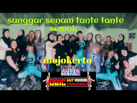 lihat tante tante semok lagi senam bikin semangat AMP MOJOKERTO