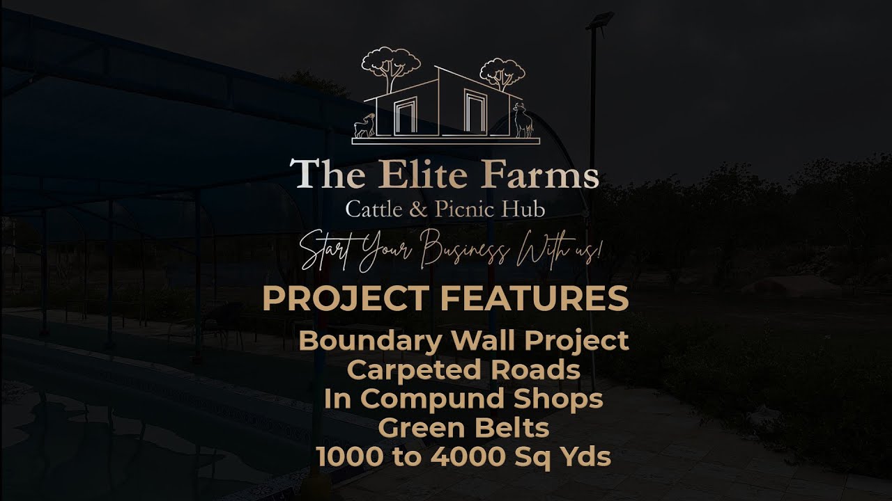 The Elite Farms (Cattle & Picnic Farm) #agriculture #farming # ...