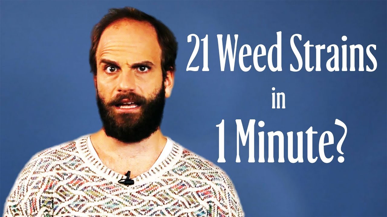 High Maintenance Star Ben Sinclair Tries to Name All Weed Strains in 1 ...