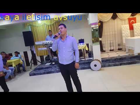 grup yeşiller kubilay şabanoğlu