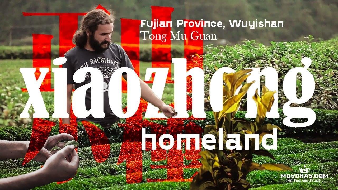 Tong Mu Guan, Fujian province, Wuyishan. - YouTube