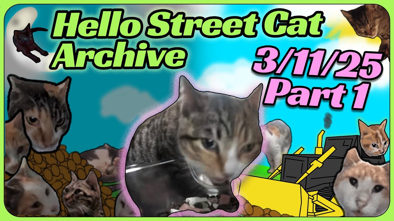 Bibby's Silly Snack Time at Ms. Dress' Feeder! Hello Street Cat Archive ...