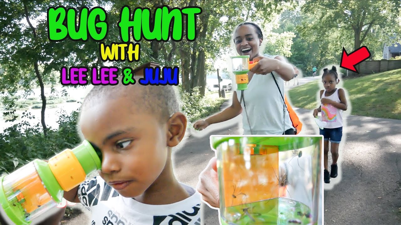 Kids Catch HUGE SPIDERS! | Bug Hunt With Lee Lee & Juju - YouTube