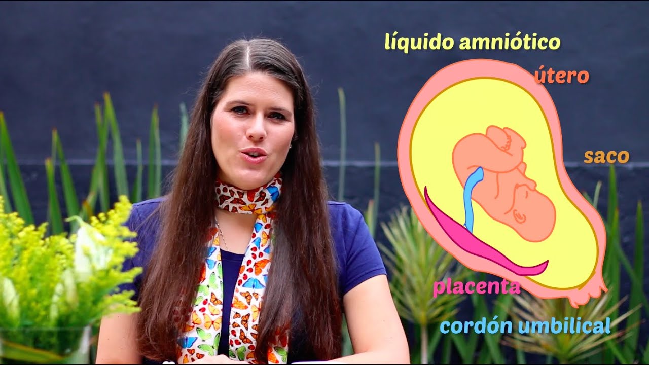 ¿En que momento inicia la vida de una nueva persona? - YouTube