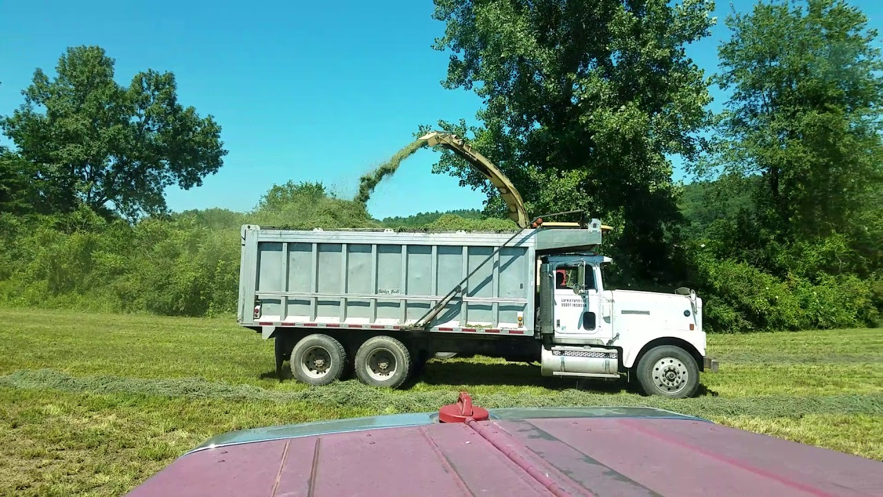 Krone Big X 650 and International 9370 Eagle - YouTube