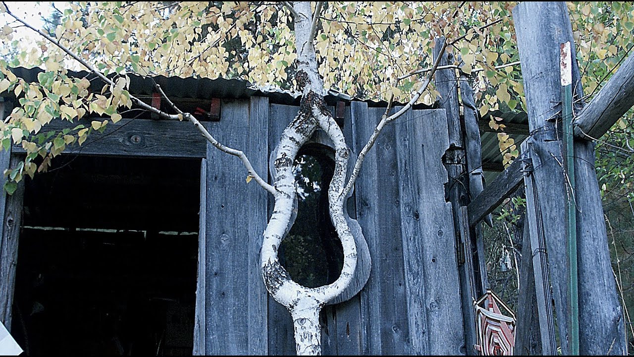 The White Birch Window - YouTube