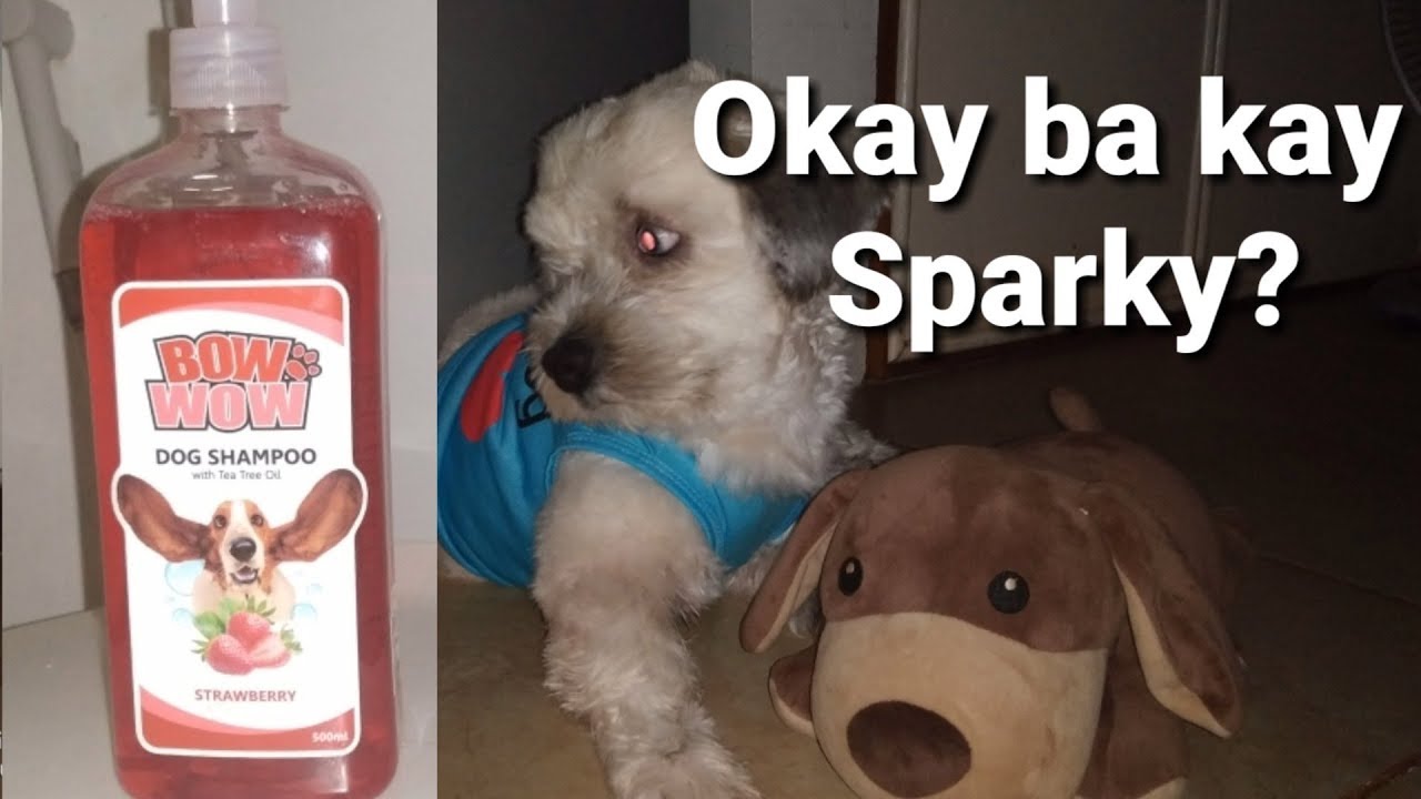 BOW WOW DOG SHAMPOO REVIEW ||Vlog 14 - YouTube