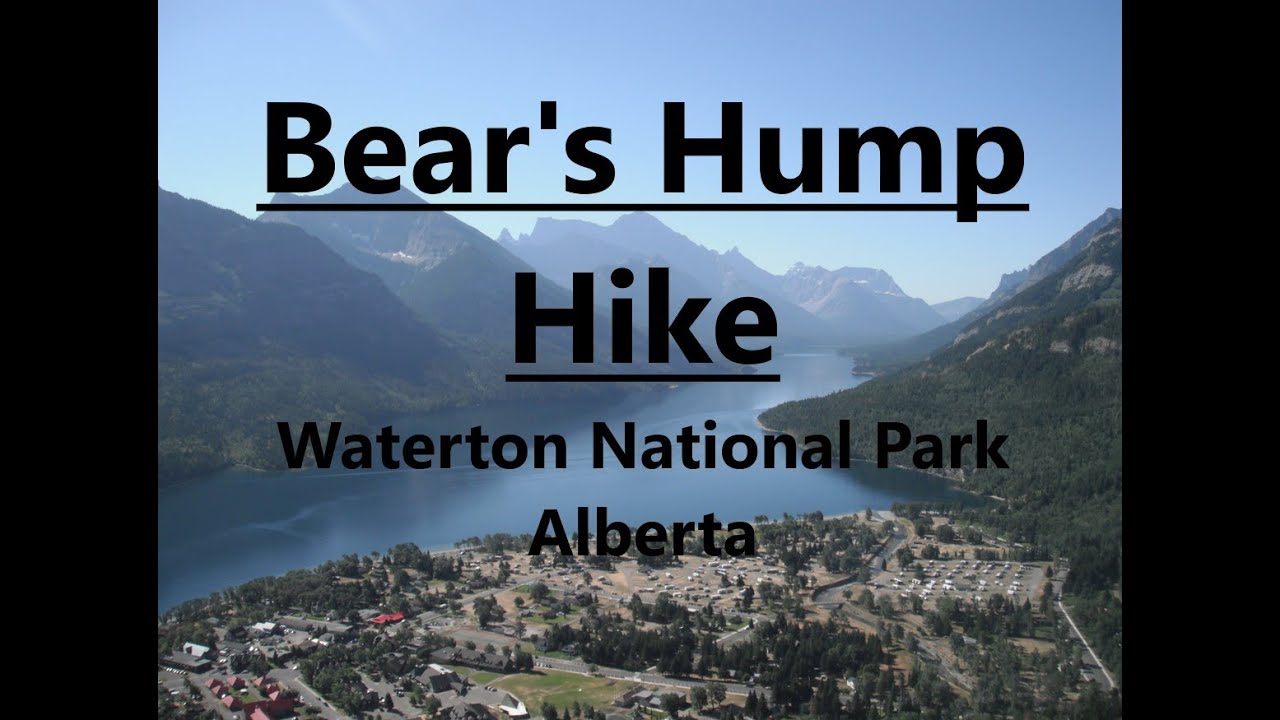 Bear's Hump Hike-Waterton National Park - YouTube