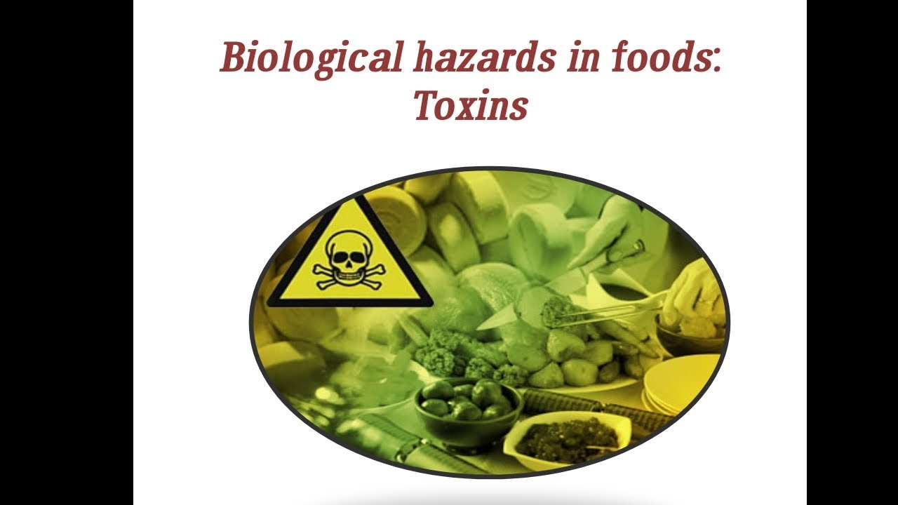 Biological hazards in foods: Toxins #biologicalhazards #toxins #food # ...