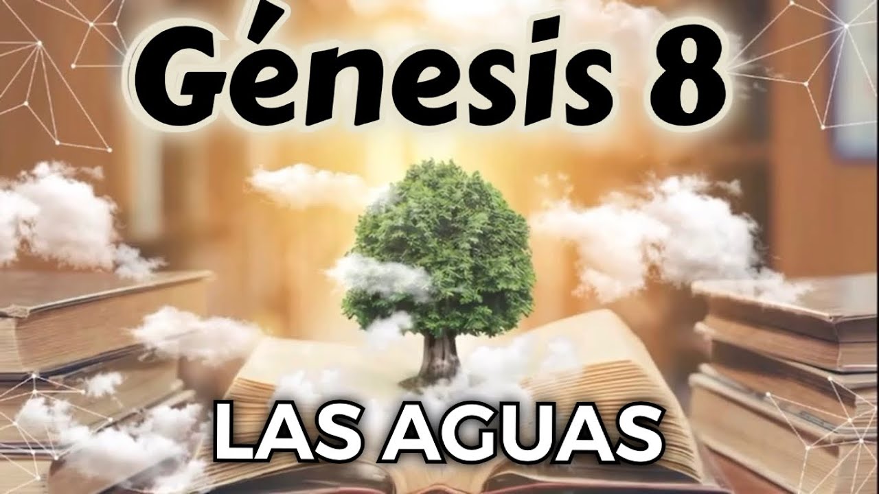 GENESIS capítulo 8 - RETROCEDEN LAS AGUAS (Biblia Hablada 📖) - YouTube