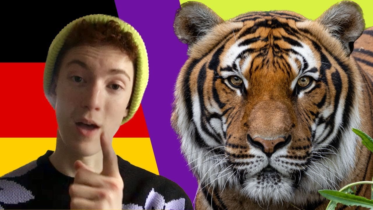 The Ultimate Zoo Holiday - Germany - YouTube