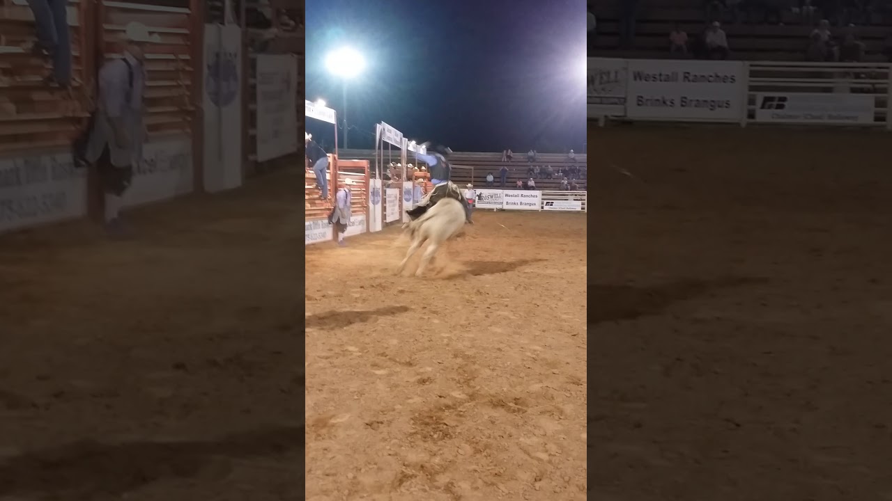 Stetson Lewis pro rodeo Roswell New Mexico - YouTube