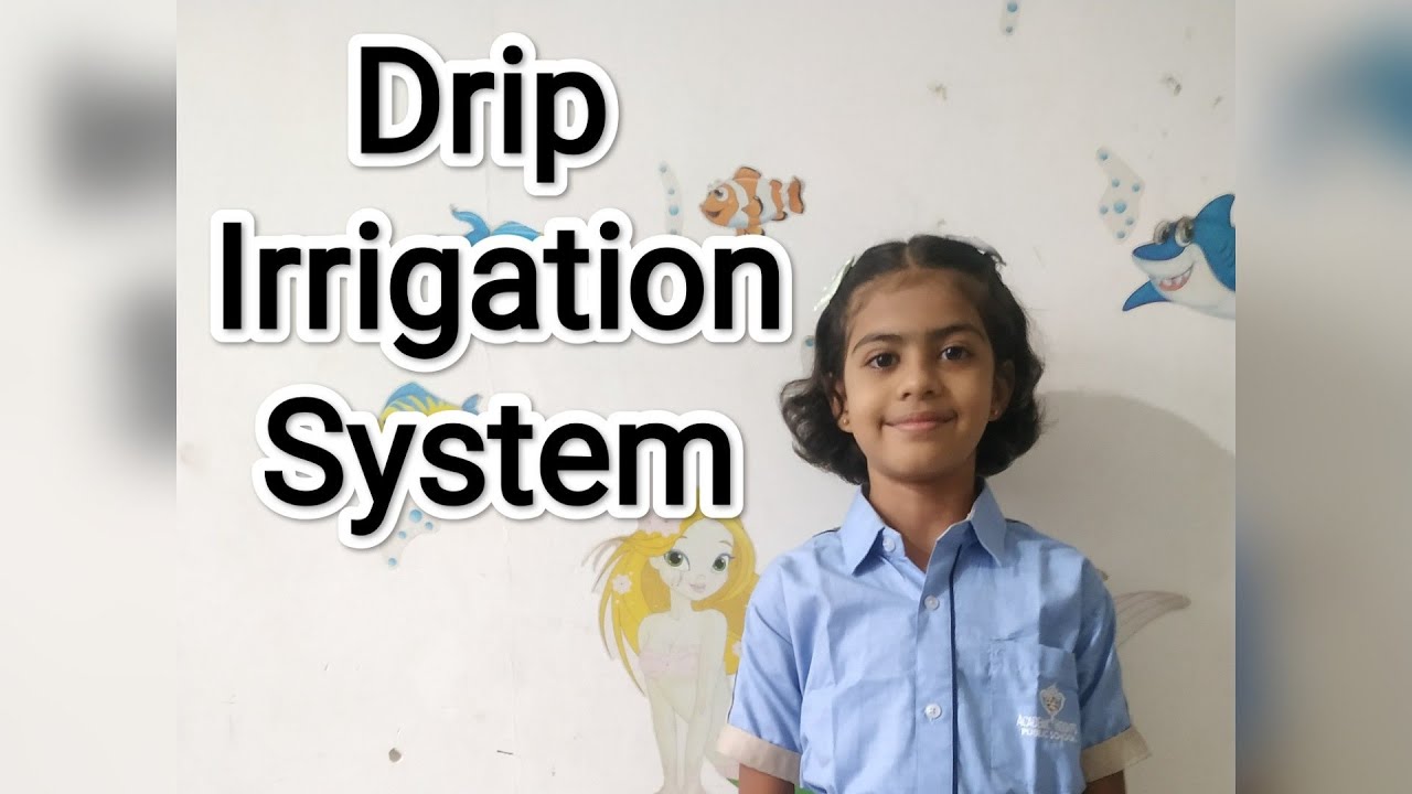 Drip Irrigation System | Science Project - YouTube