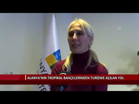 Alanya’nın tropikal bahçelerinden turizme açılan yol   Genel   Tarım TV