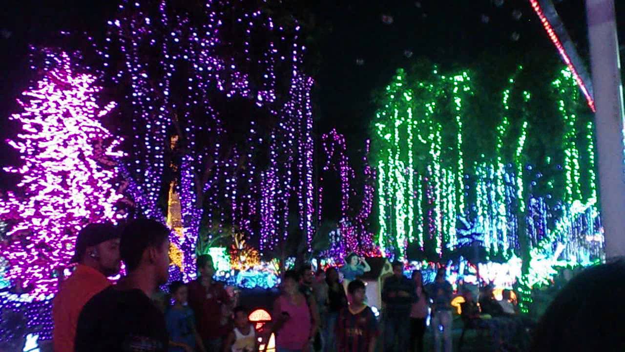 Parque de Luces San Diego 2015 - YouTube