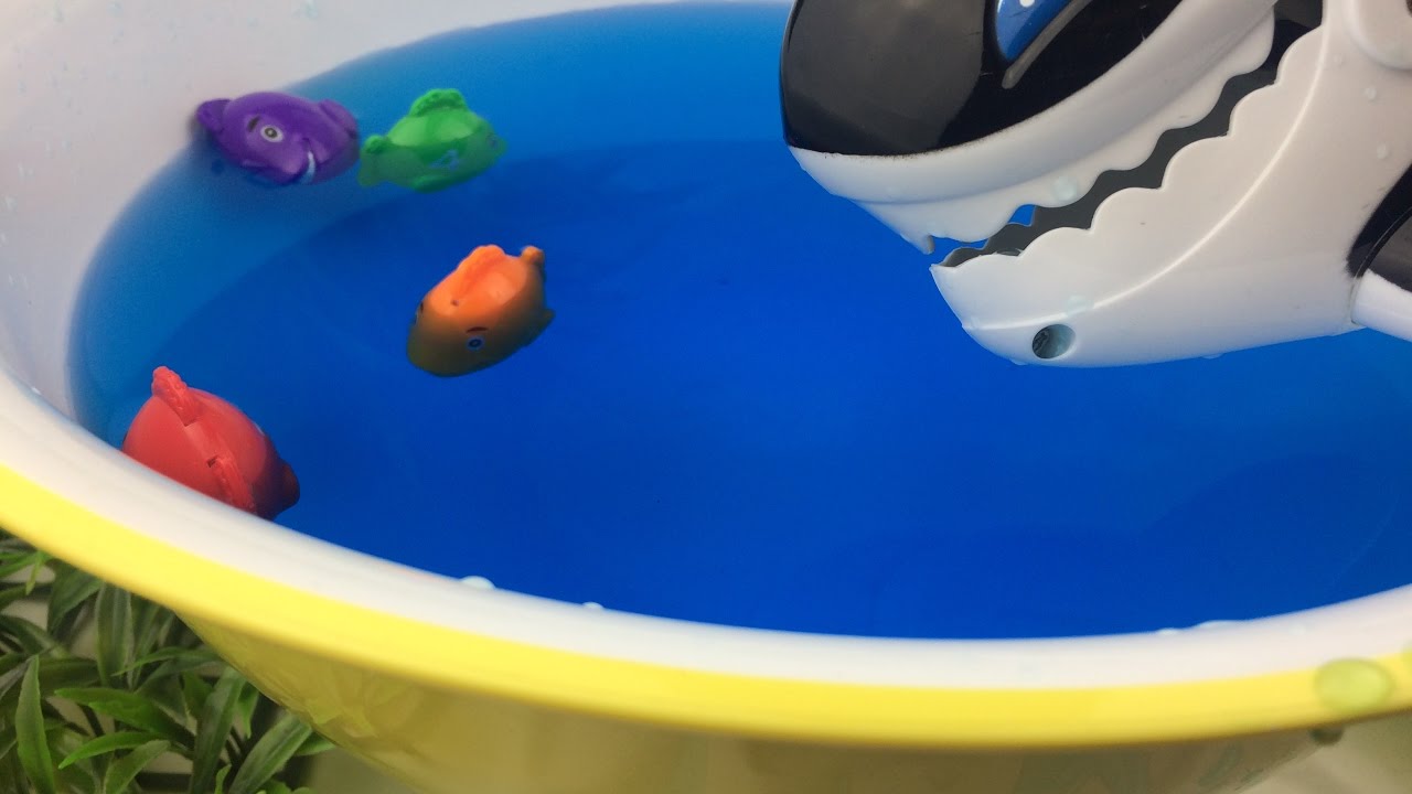 Learning How to Count Gobble Gobble Guppies with a Toy Shark - YouTube