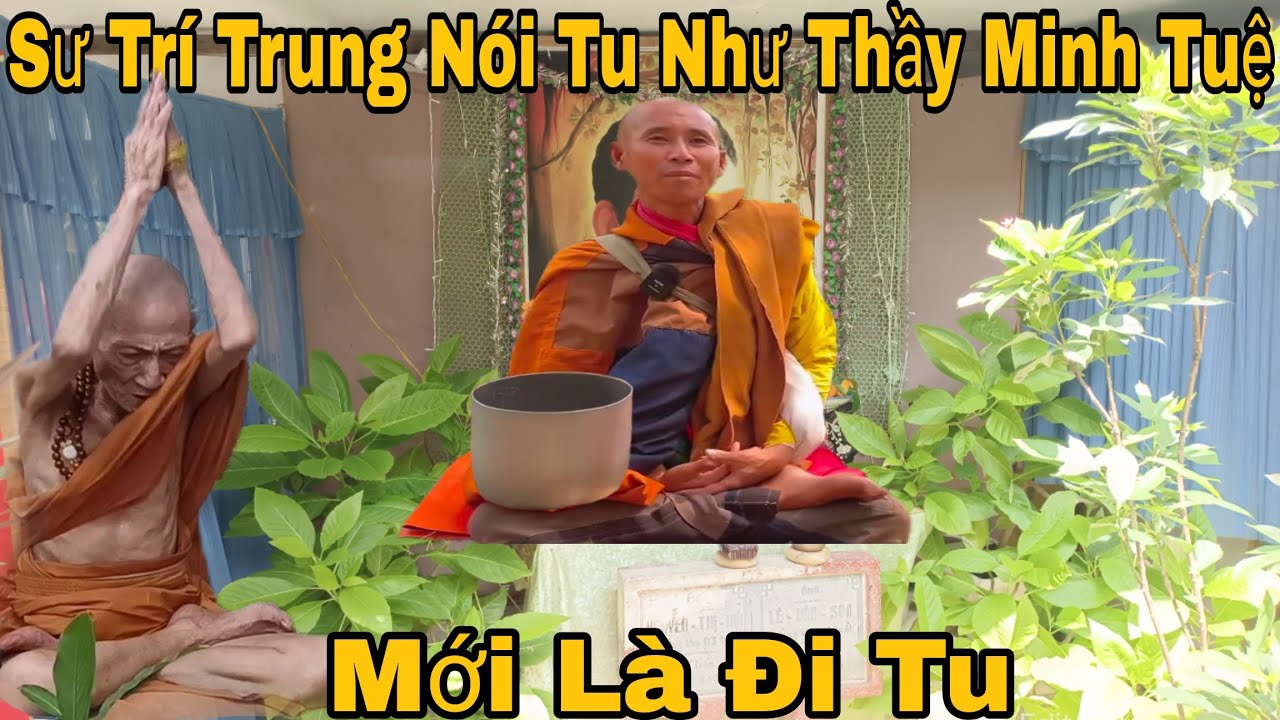 Sư Trí Trung Nói Tu Như Thầy Thích Minh Tuệ Mới Là Đi Tu Ai Muốn Đi Tu ...