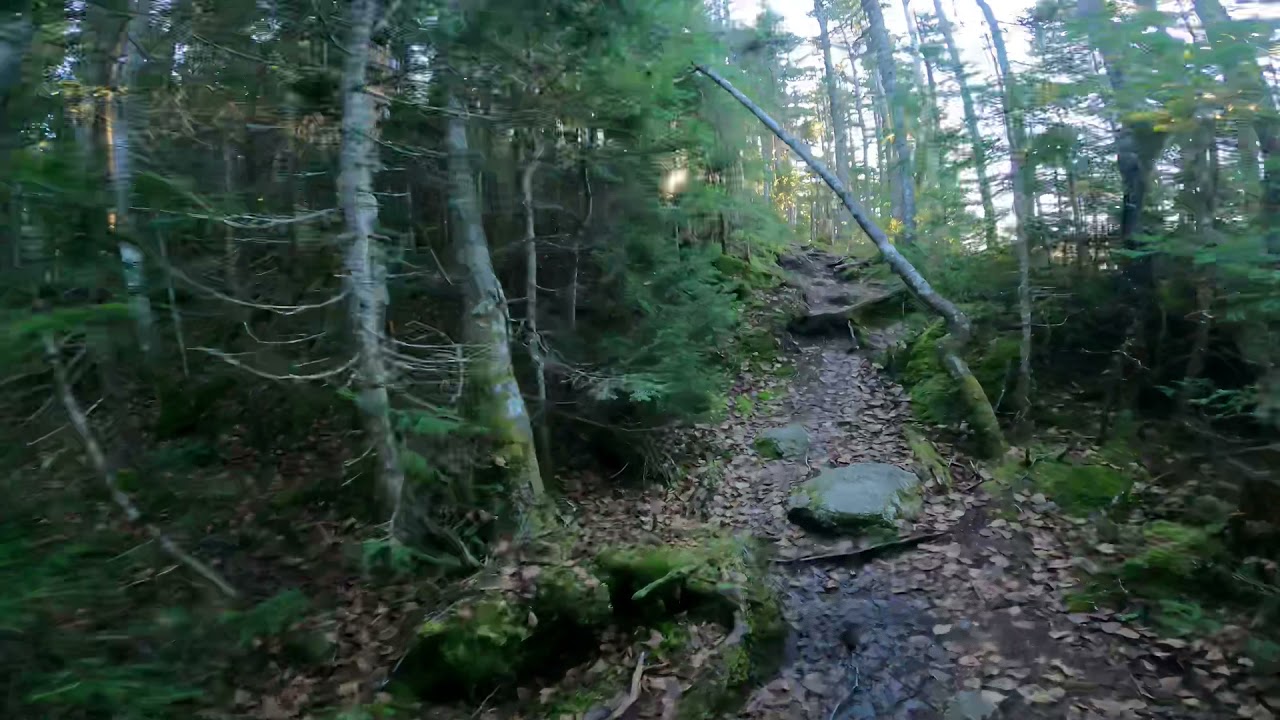 Norcross Pond via Nancy Brook Trail - YouTube